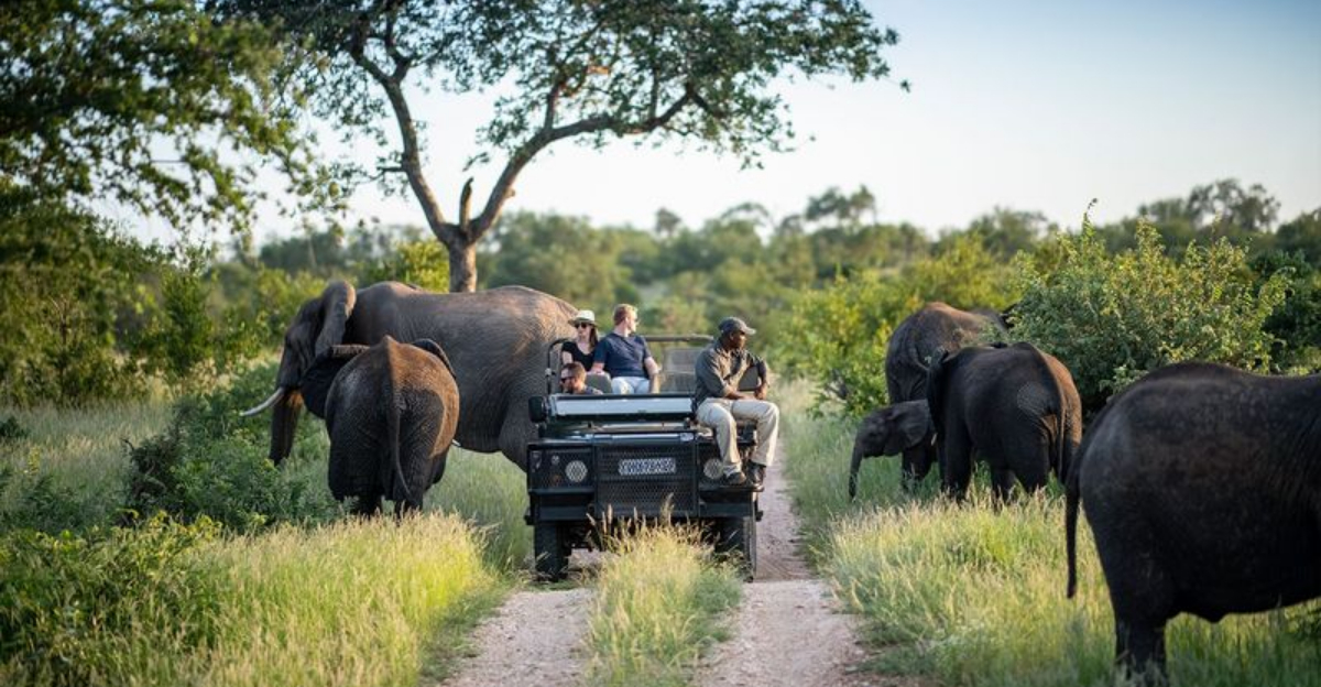 18 Wildlife Safaris That Turn Summer into the Adventure of a Lifetime ...
