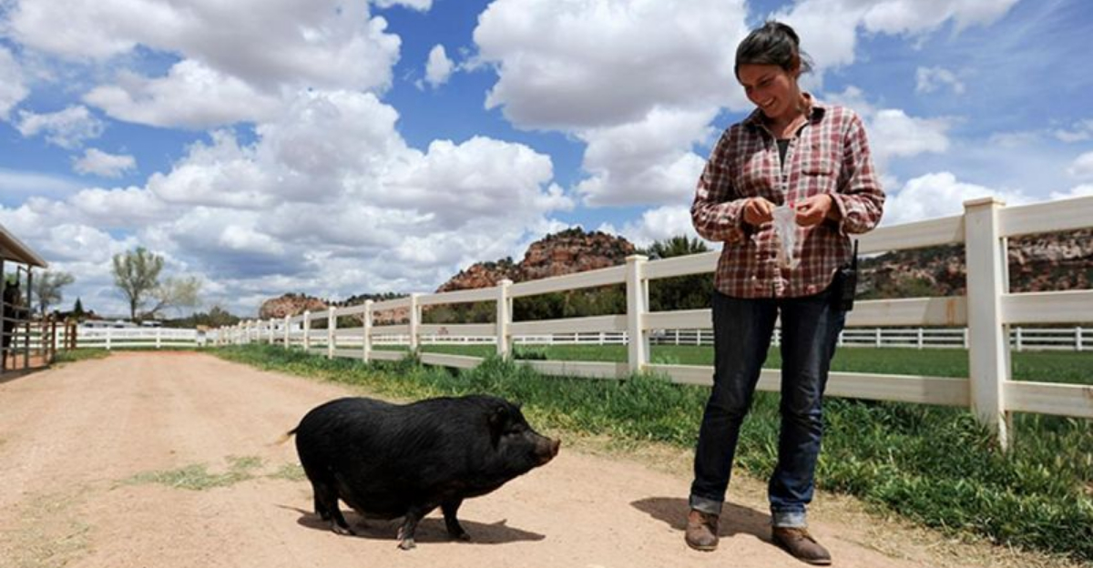 19 Adorable Farm Animals That Make Surprisingly Great Pets for Country ...