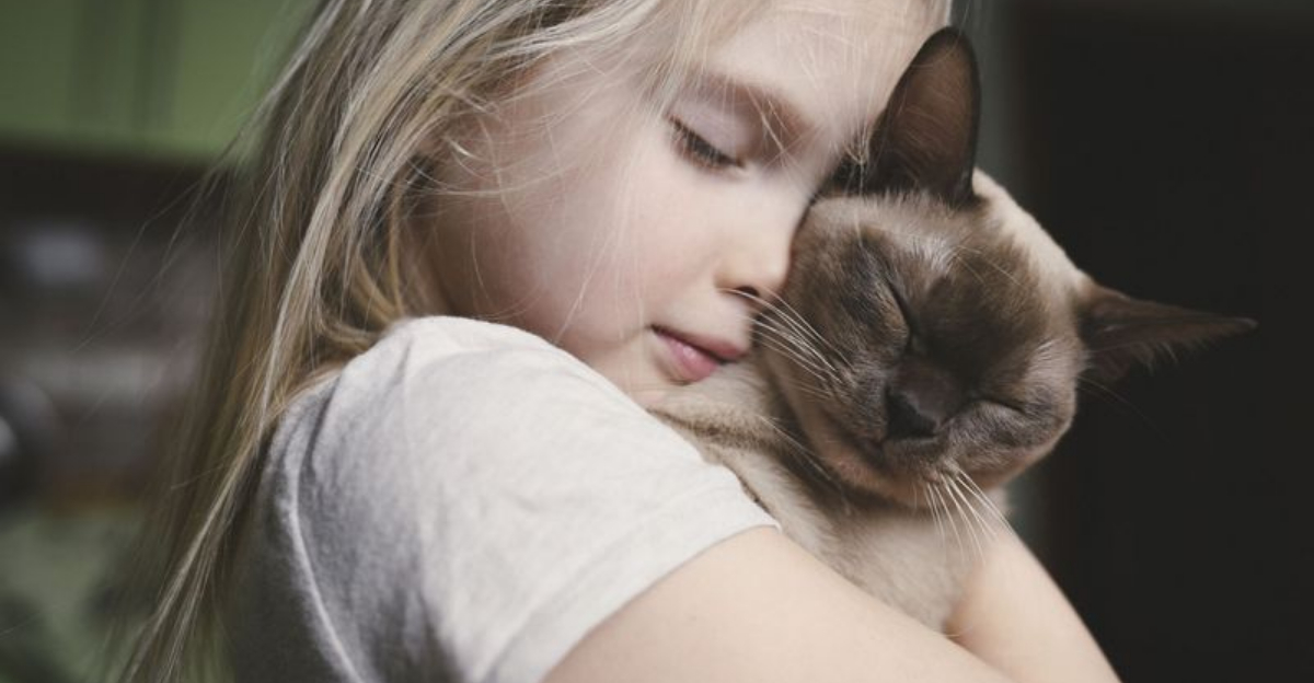 20 Cat Breeds That Add Calm and Comfort to Chaotic Households ...