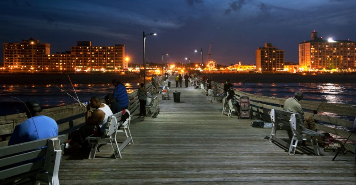 American Fishing Piers Where Night Fishing Catches Record Fish ...