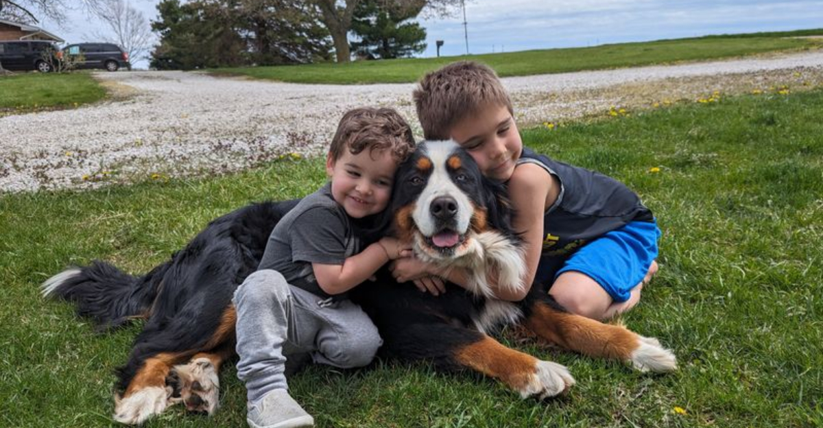 Stop Choosing These 12 “Kid-Friendly” Dog Breeds (Try These 12 Instead ...