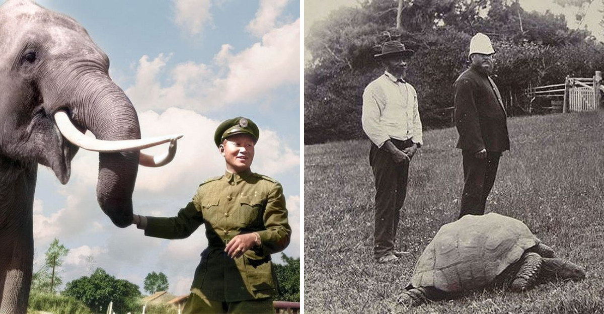 The Pets That Lived the Longest—and What They All Had in Common ...
