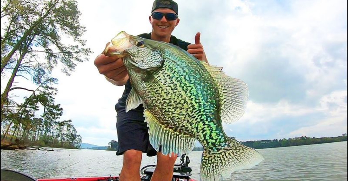 These 12 U.S. Lakes Are Home to Massive Fish You Wouldn’t Expect ...