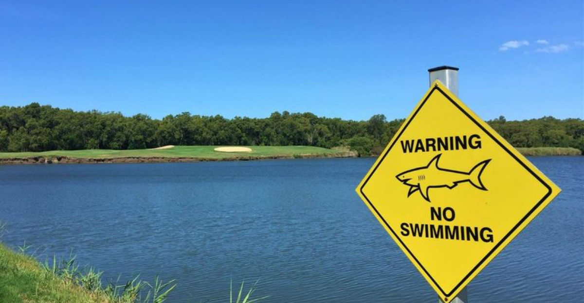 These Are the Only Lakes on Earth With Sharks in Them - Exploring Animals