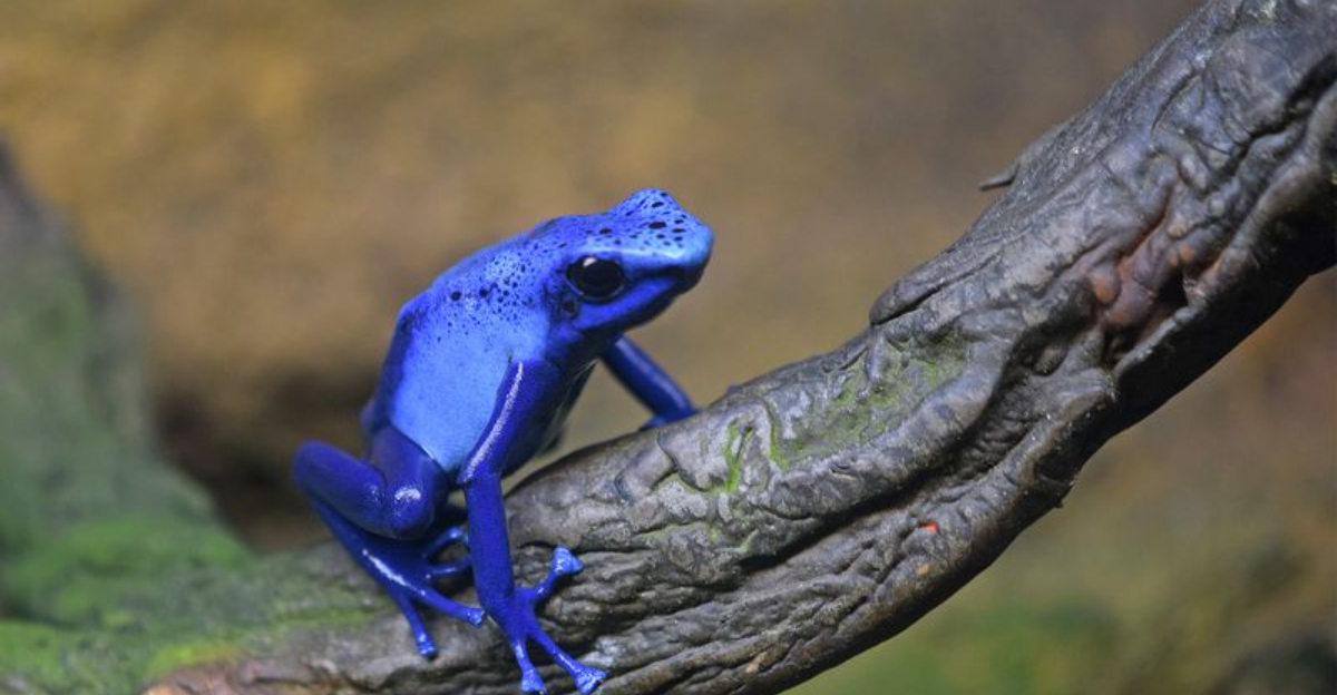 17 Animals That Cost Zoos a Fortune to Care For (Some Over $1 Million a ...