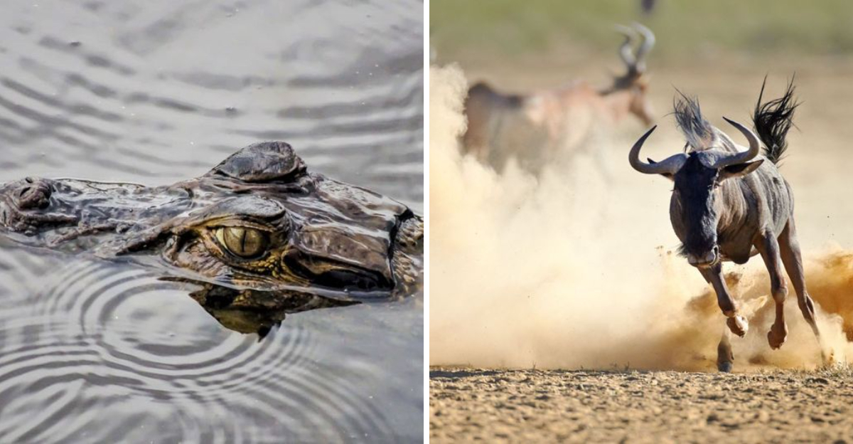 12 Animals With the Most Incredible Ambush Tactics (And 12 That Rely on ...