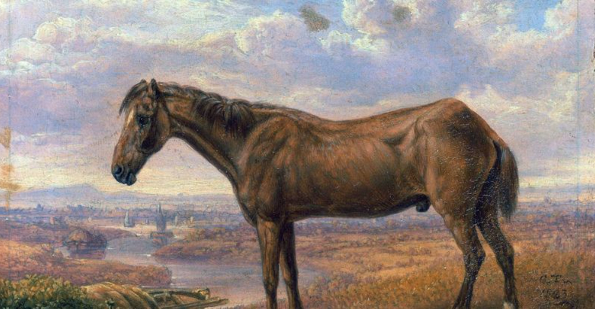 15 Facts About the Oldest Horse Ever Documented (And Traditional Care ...