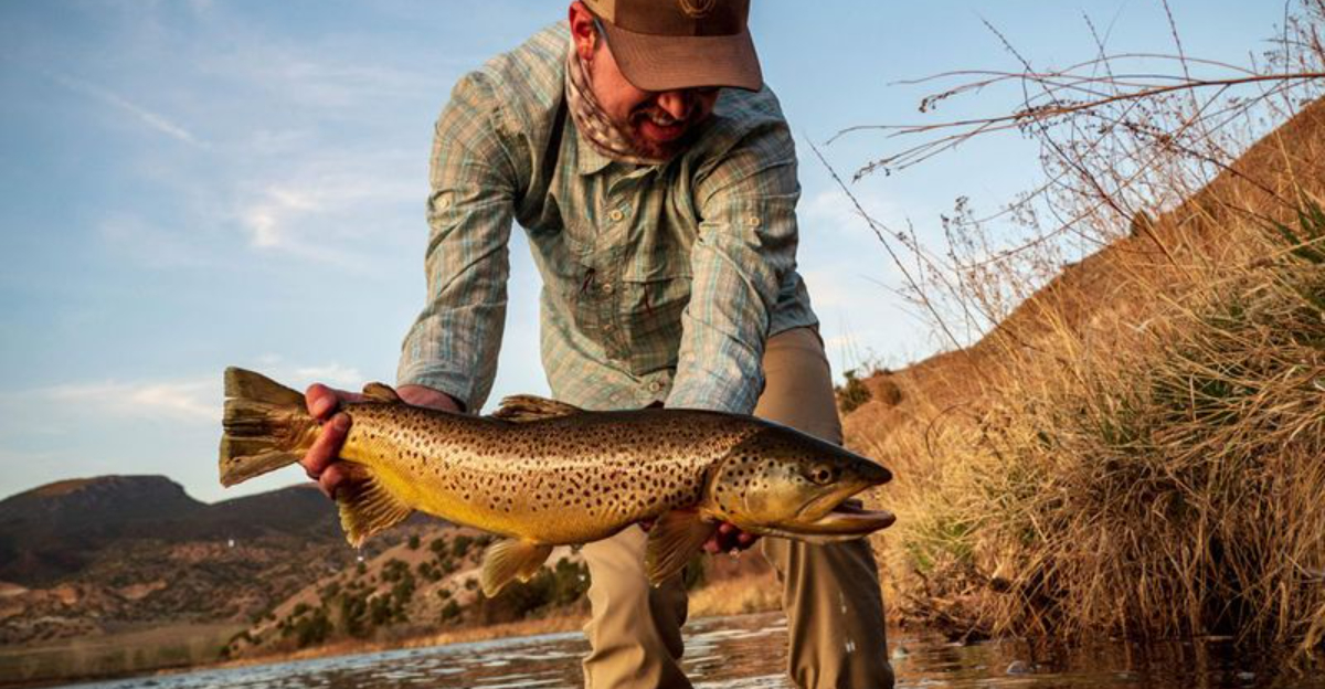 14 Fly Fishing Streams That Hold the Biggest Wild Trout You’ll Ever ...