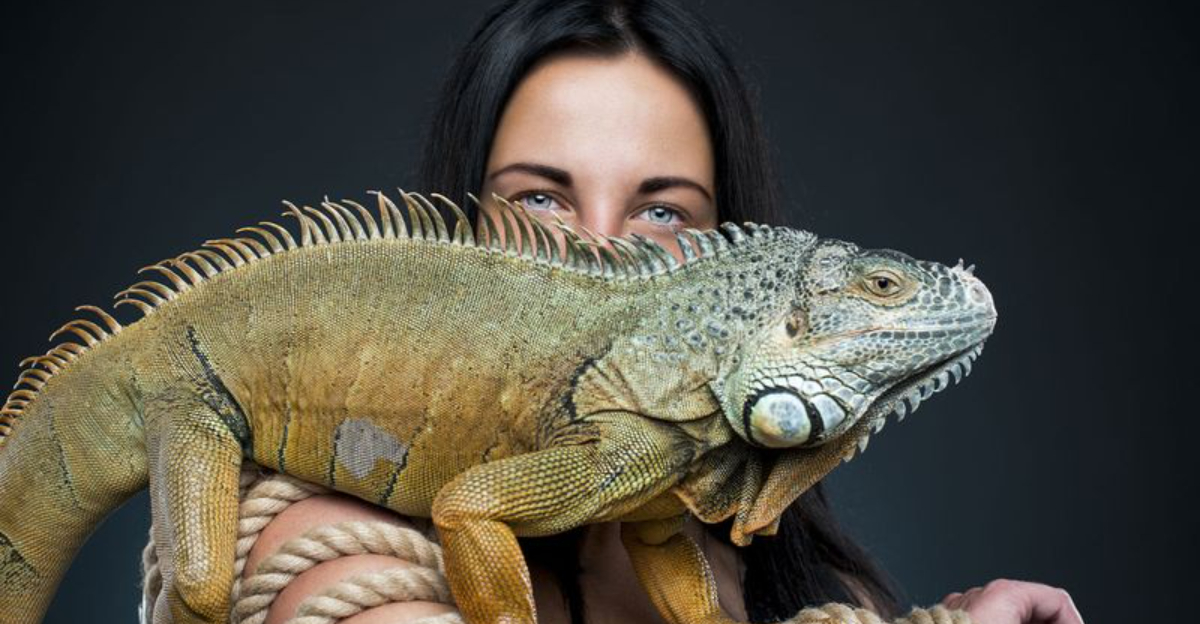 Forget These 10 “Easy” Pets That Are Actually a Ton of Work (Here are ...