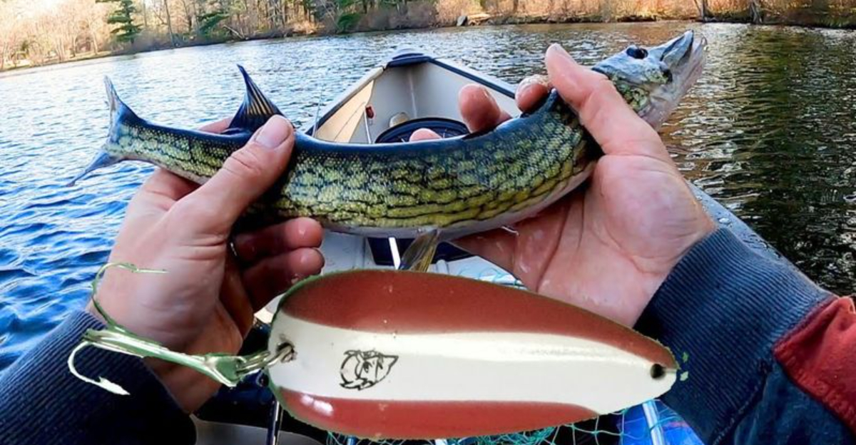 13 Northern Pike Lures That Never Let You Down (Even When Live Bait ...