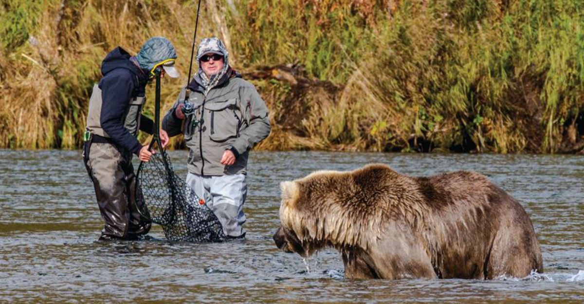 14 Unbelievable Bear Encounters Captured This Spring - Exploring Animals