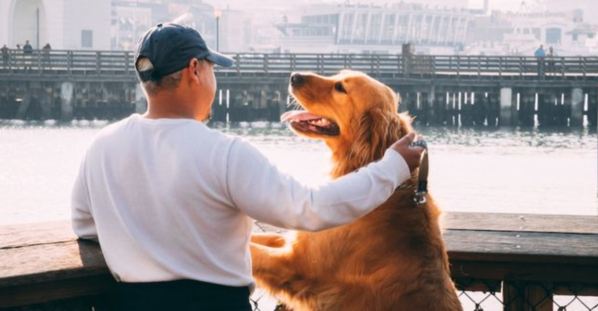 8 Ways Dogs Help You Stay Young — and 8 Reasons They’re a Handful ...