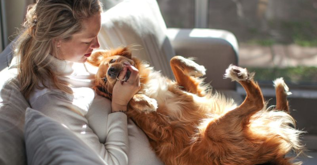 15 Ways to Tell If Your Dog Truly Loves You - Exploring Animals
