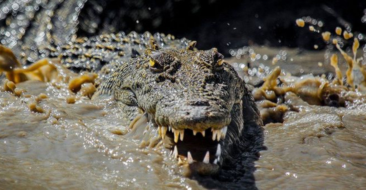 10 Creatures So Intimidating, Even Wolverines Keep Their Distance ...