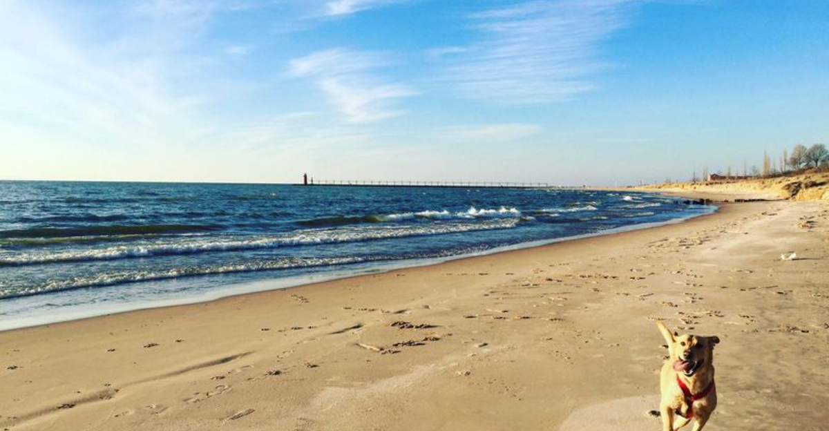 10 Dog-Friendly Lakes in the U.S. to Visit This Summer - Exploring Animals