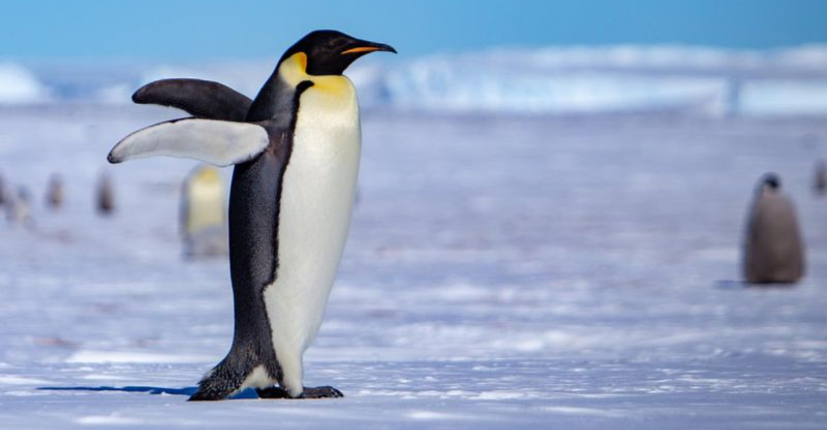 16 Creatures That Use Mind-Blowing Survival Skills to Stay Alive ...