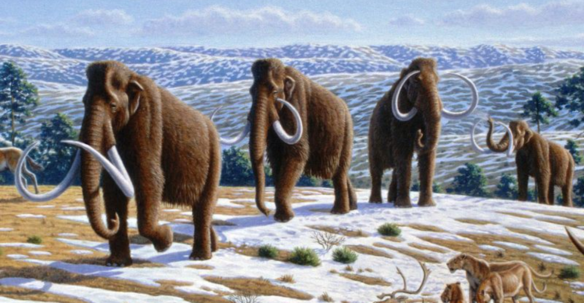 11 Lost Animals We Wish Could Return From Extinction - Exploring Animals