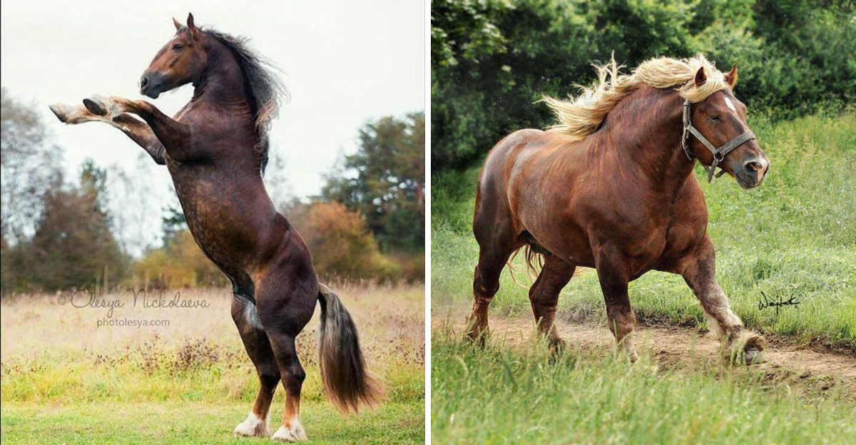 11 Most Powerful Workhorse Breeds Built to Get the Job Done - Exploring ...