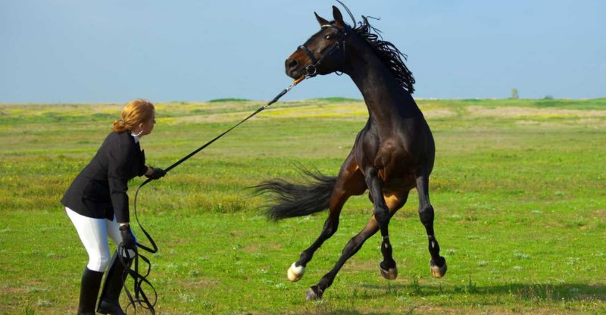 12 Animals That Can Smell Fear and 5 More That React in Even Stranger ...