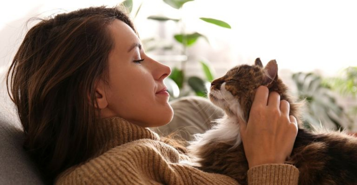 12 Cat Bonding Habits That Strengthen Your Connection—and 5 That Might ...