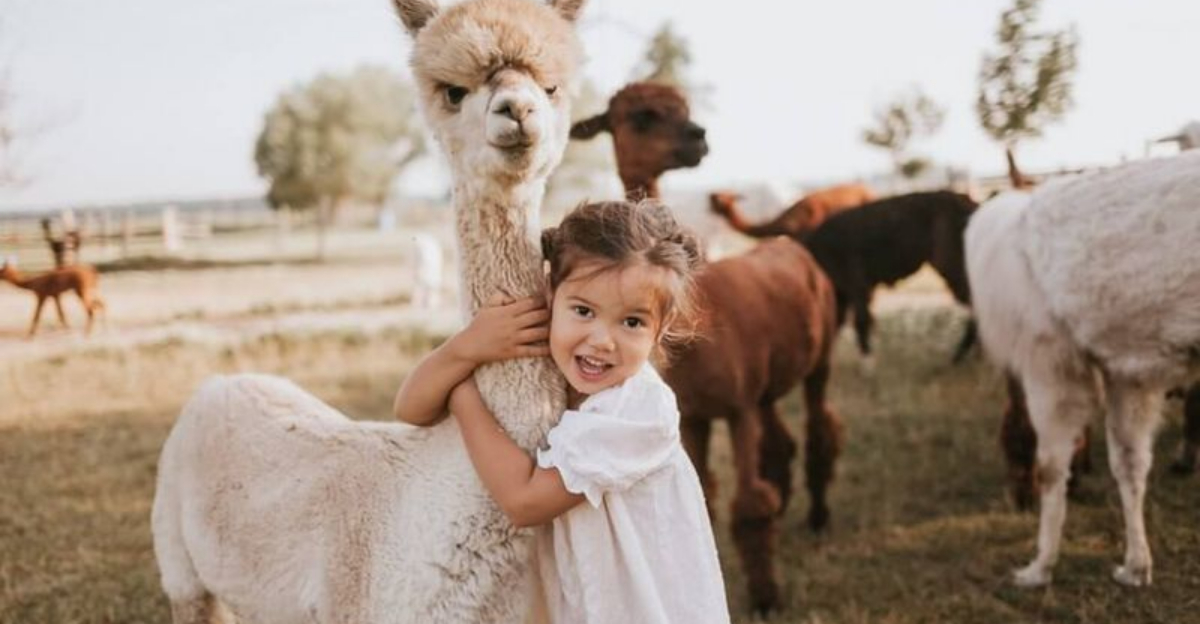 12 Farm Animals Kids Love—and 6 That Might Be Too Much to Handle ...