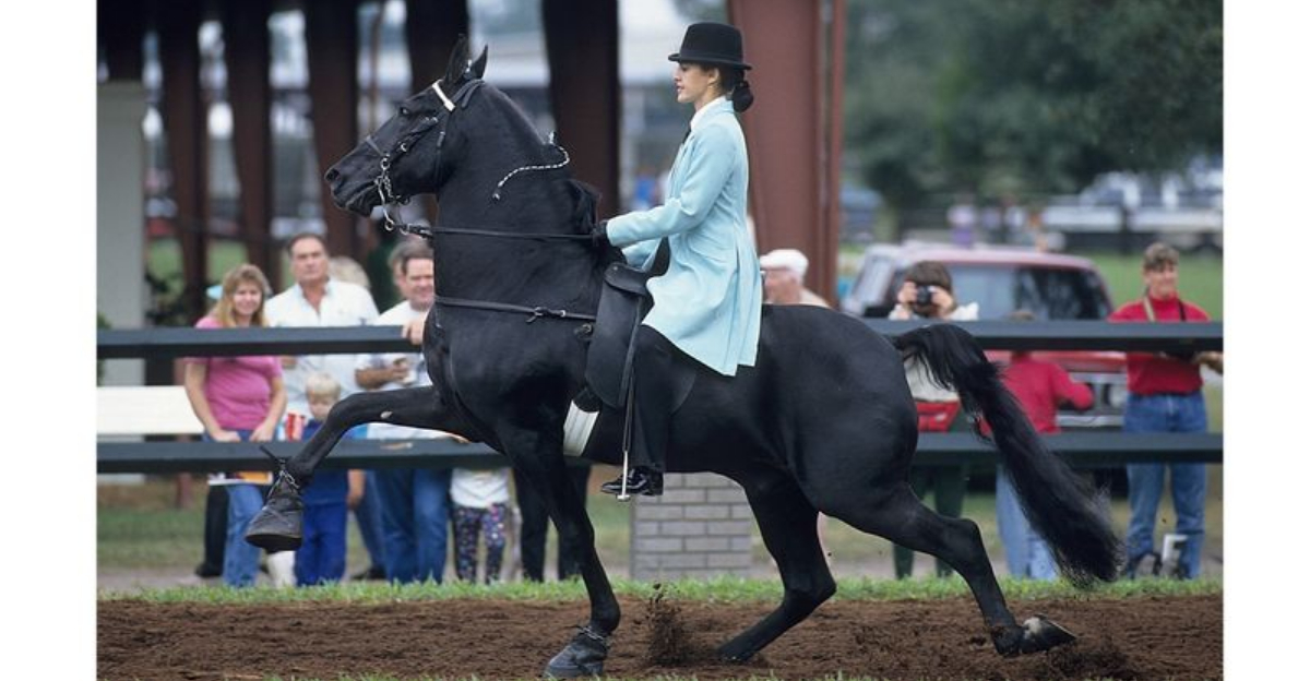 12 Horse Breeds Riders Rely on Most—and 5 That Make the Ride Bumpier ...