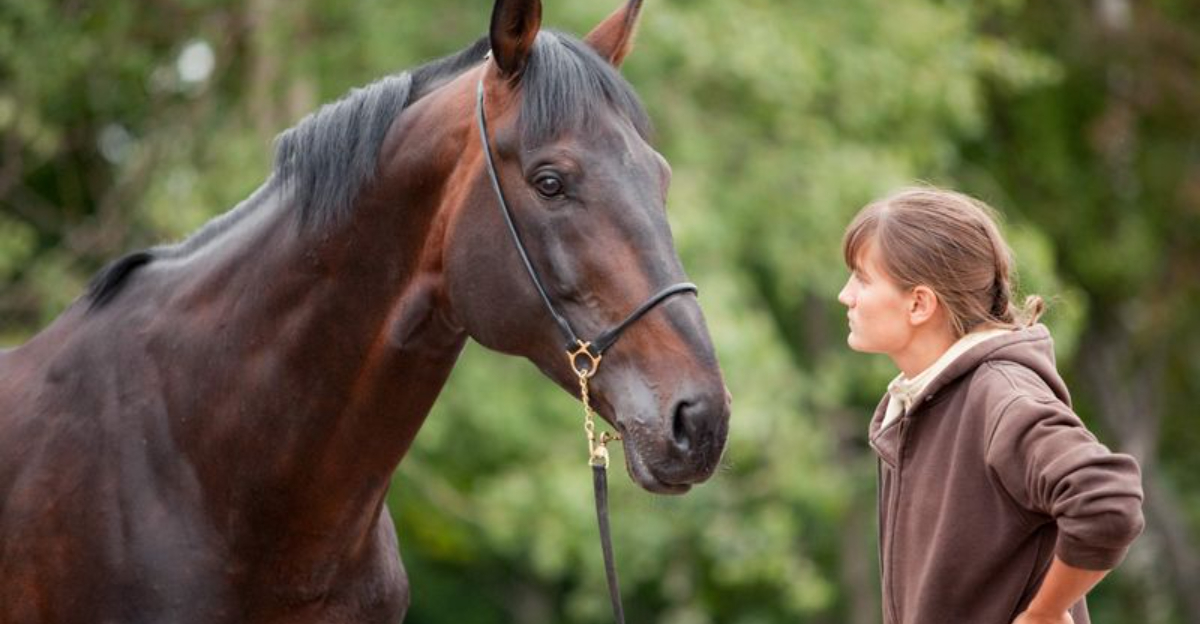 12 Smart Animals That Detect Human Lies Better Than You Think ...
