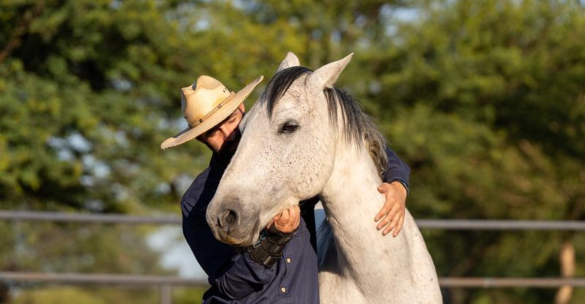 13 Common Horse Behaviors That Owners Often Misinterpret - Exploring ...
