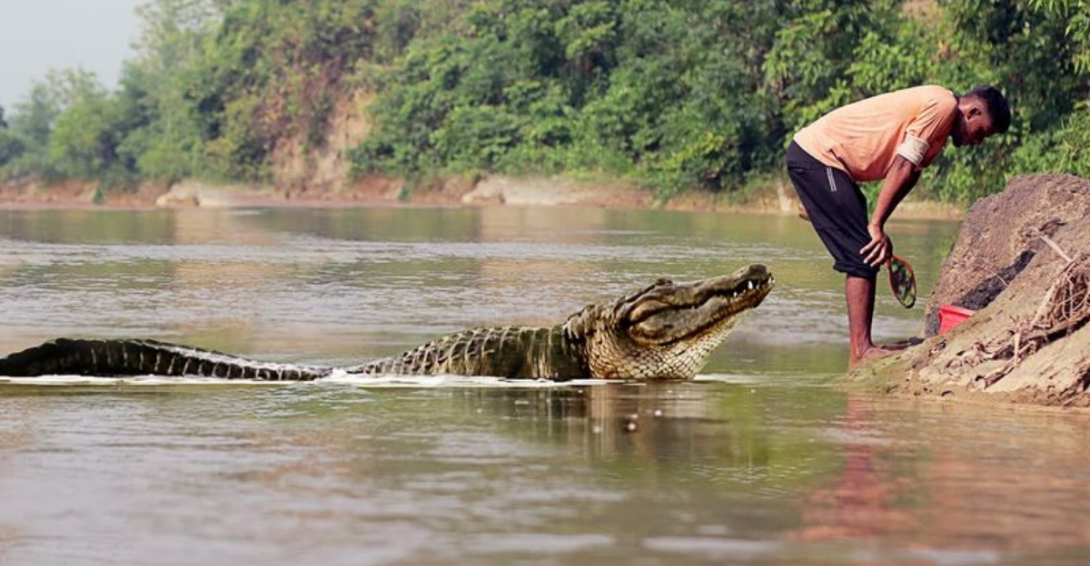 13 Deadly Hunters That Target Humans and 7 That Aren’t Usually a Danger ...