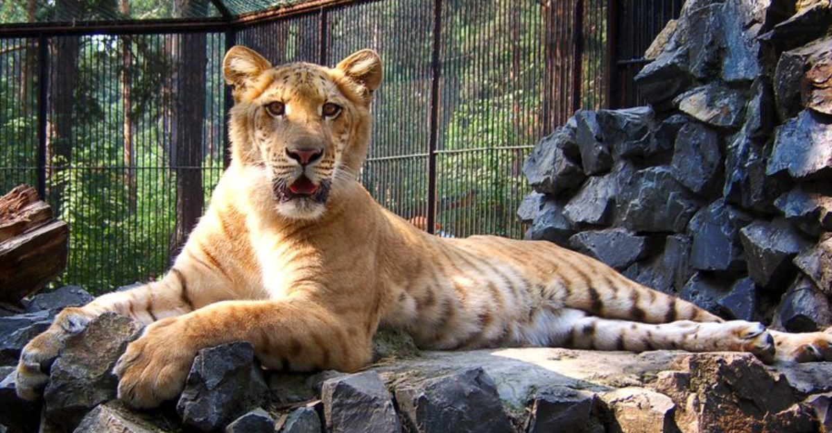 14 Modern Animals That Didn’t Exist a Century Ago (And How They Got ...