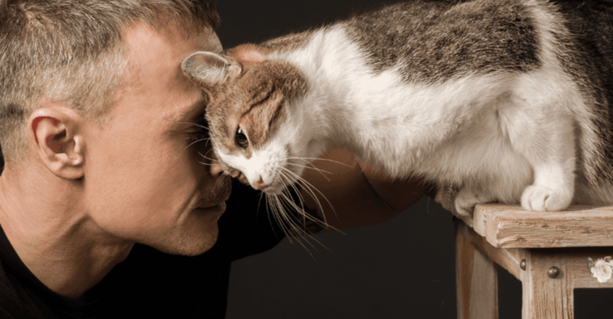 14 Subtle Shifts in Behavior That Signal Deep Cat Trust - Exploring Animals