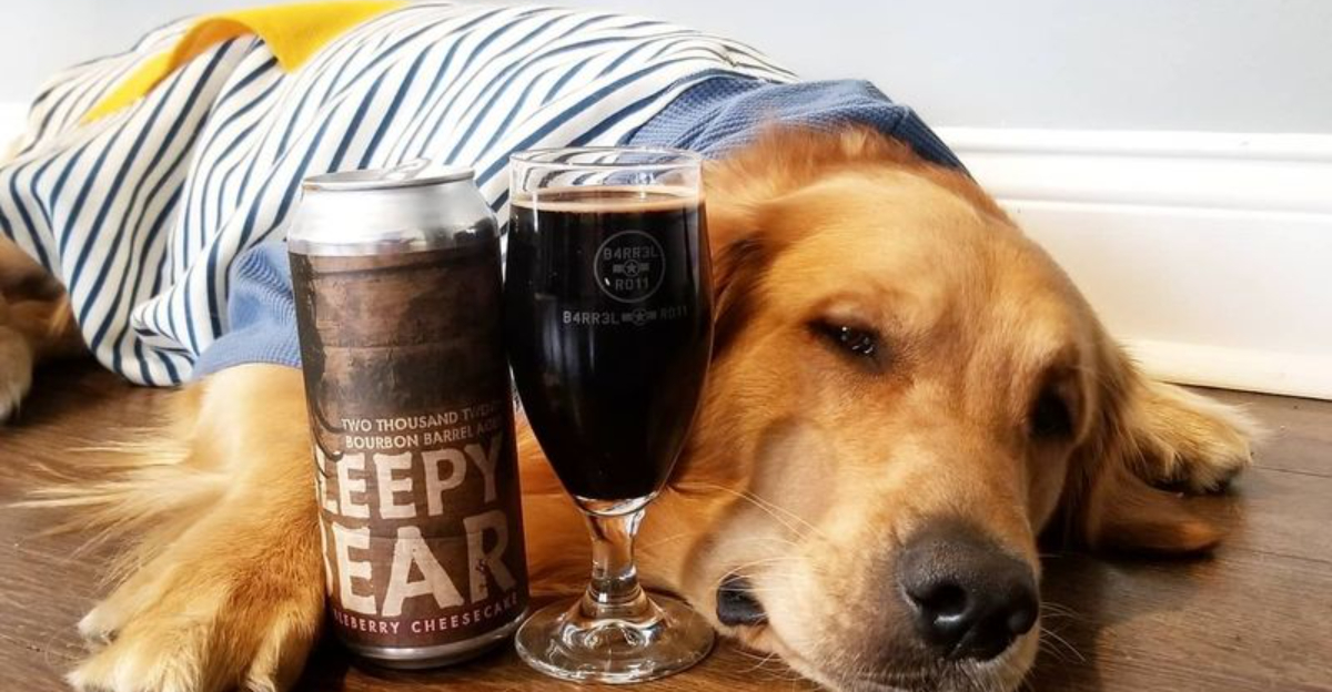 15 Strong Scents Dogs Can’t Stand and How They Show It - Exploring Animals