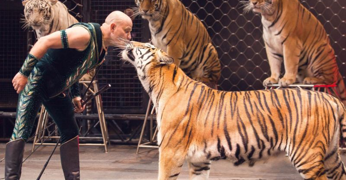 15 Wild Animals Once Forced to Perform in Circuses - Exploring Animals