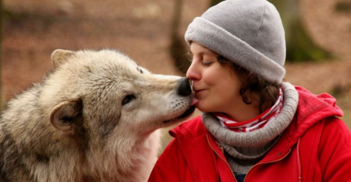 15 Wild Animals That Surprisingly Love Humans - Exploring Animals