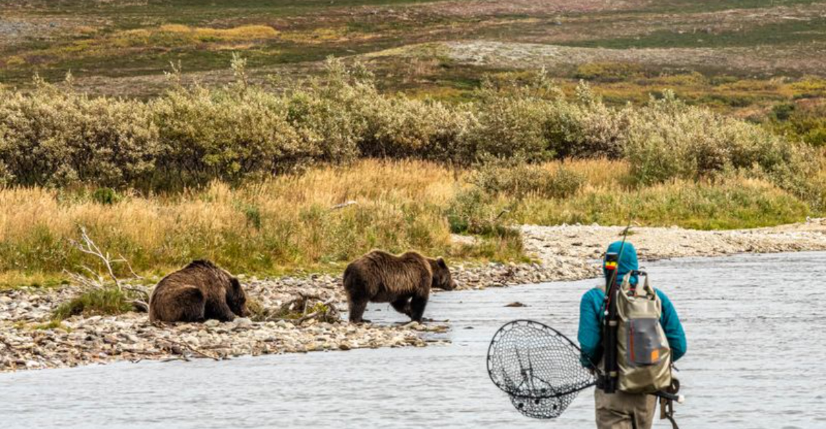 17 U.S. States Where Bears Are Getting Too Close for Comfort—And What ...