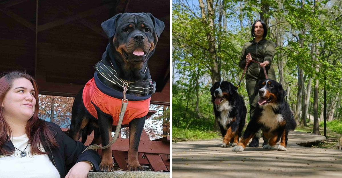 18 Brave Dogs That Guard With Loyalty—and 6 More That Are Just as ...