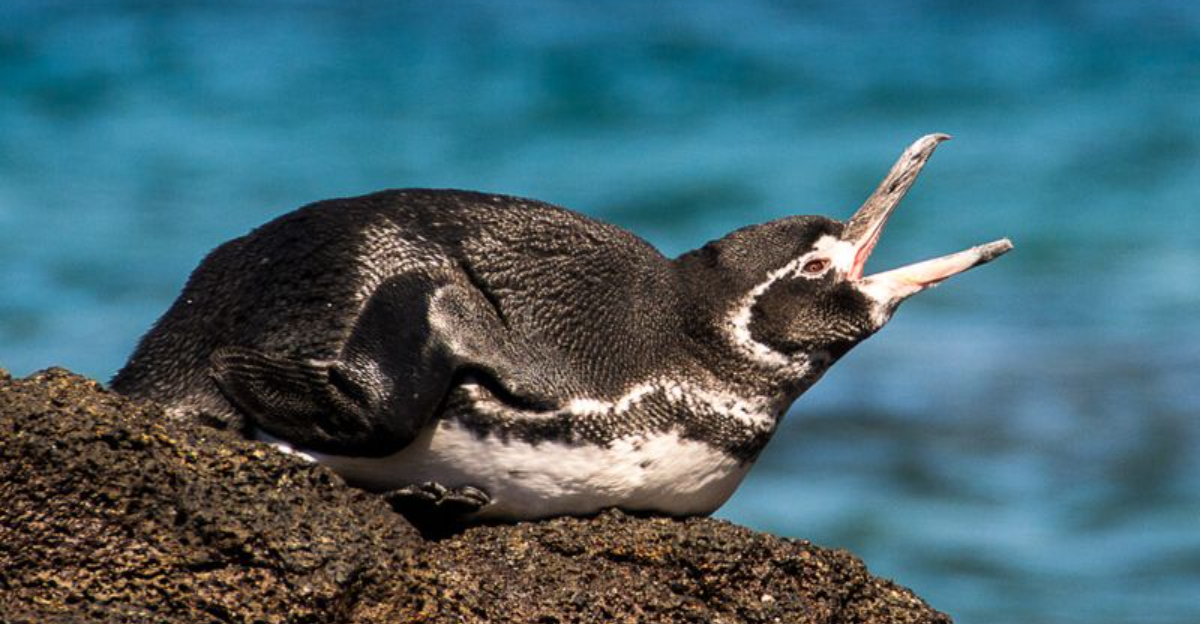 23 Wild Animals That Only Exist in One Tiny Corner of the World ...