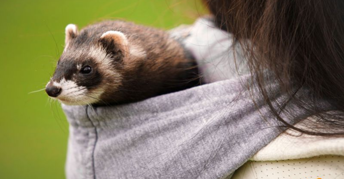 7 Pets People Loved Deeply—And 7 They Still Regret Bringing Home ...