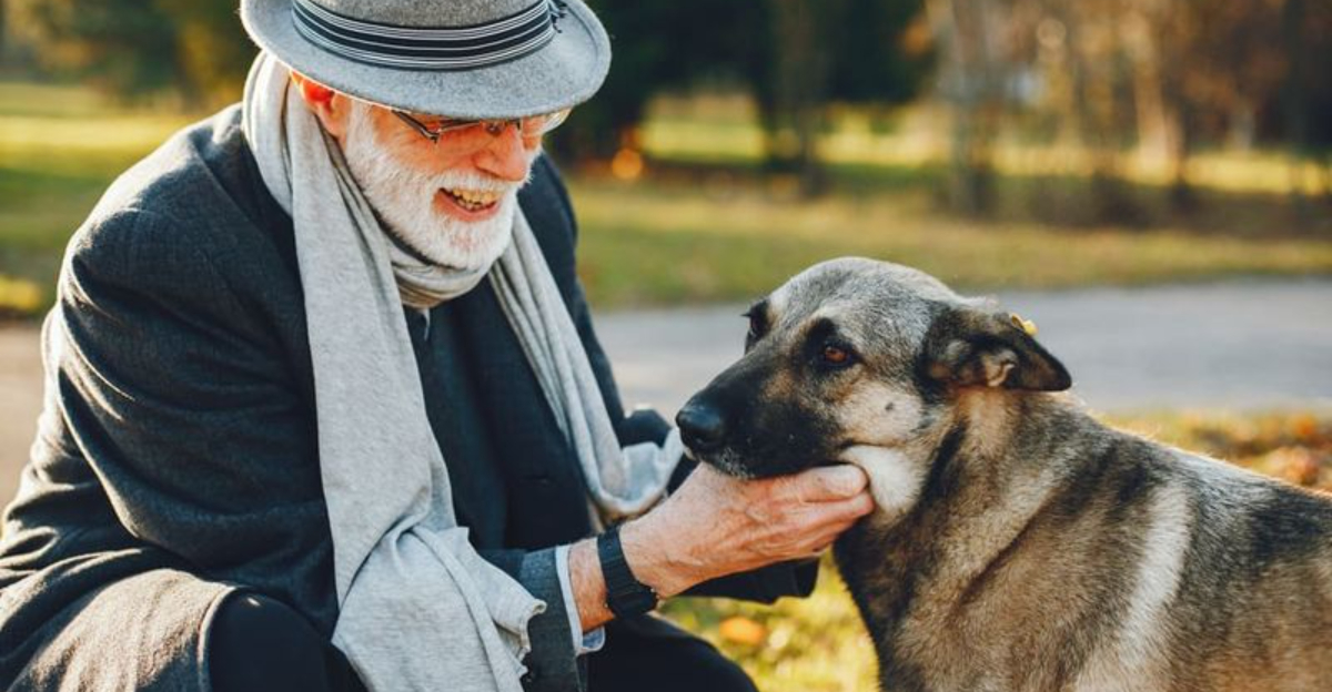 9 Emotional Ways Dogs Say Goodbye—And How They Show Love Until the End ...