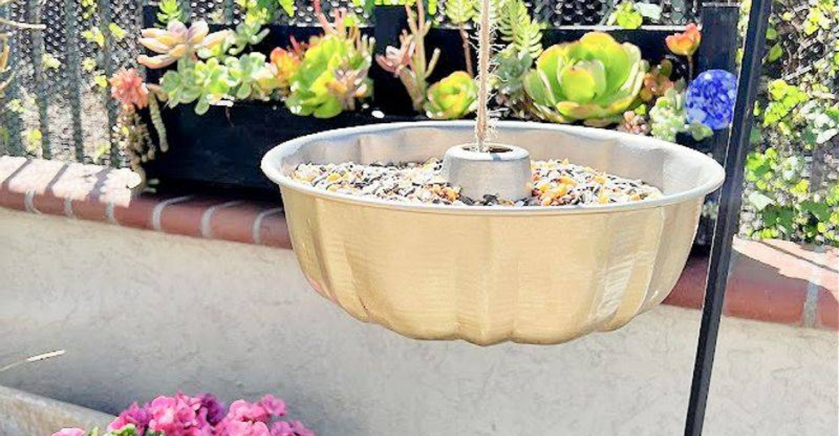 9 Kitchen Tools You Can Reuse for Birds and That Become Brilliant ...