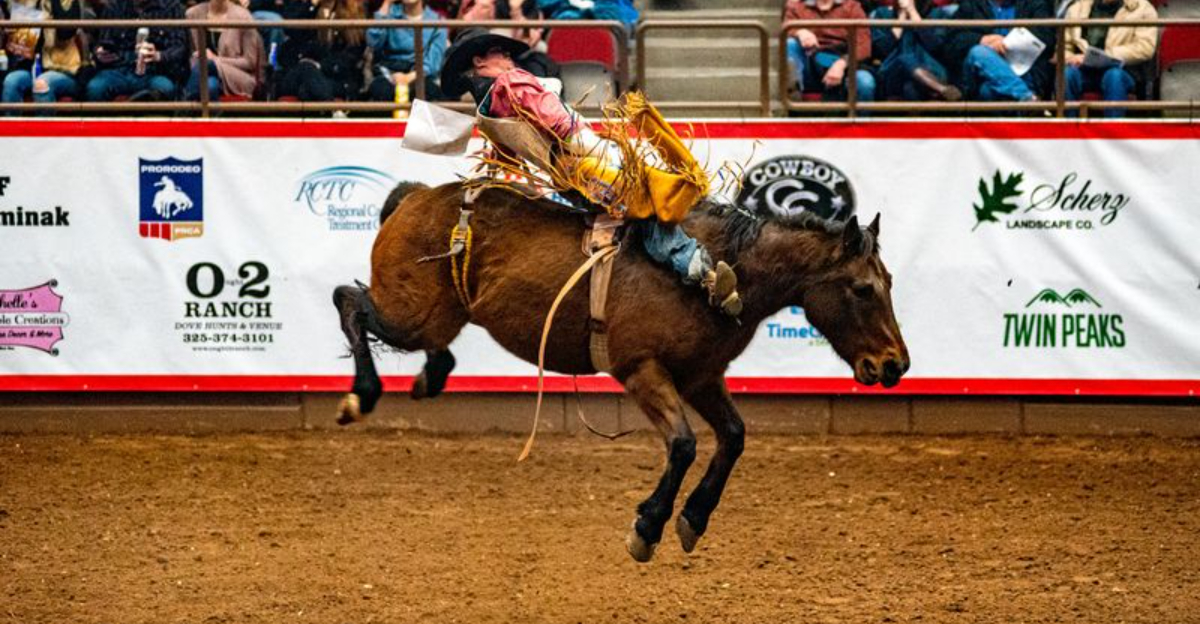 How Rodeo Rules Are Actually Keeping Animals Safer - Exploring Animals