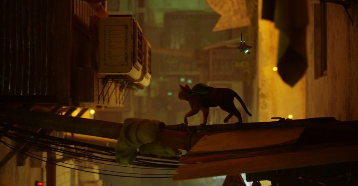 How Stray Cats Outsmart Nature—17 Wild Survival Tricks You Won’t ...