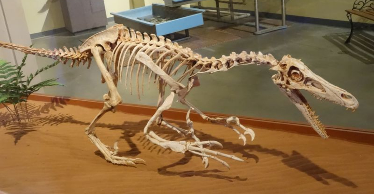 Lost to Time: These 14 Fossils Brought Earth’s Prehistoric Past Back to ...