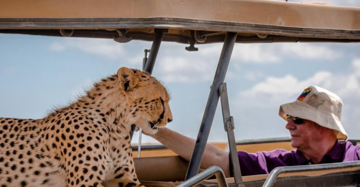 Safari Guide: 10 African Animals You Absolutely Can’t Miss - Exploring ...
