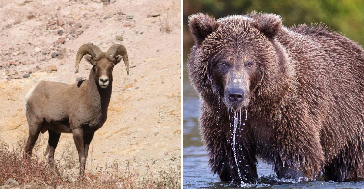 The 17 Most Dangerous States for Wildlife Encounters in America ...