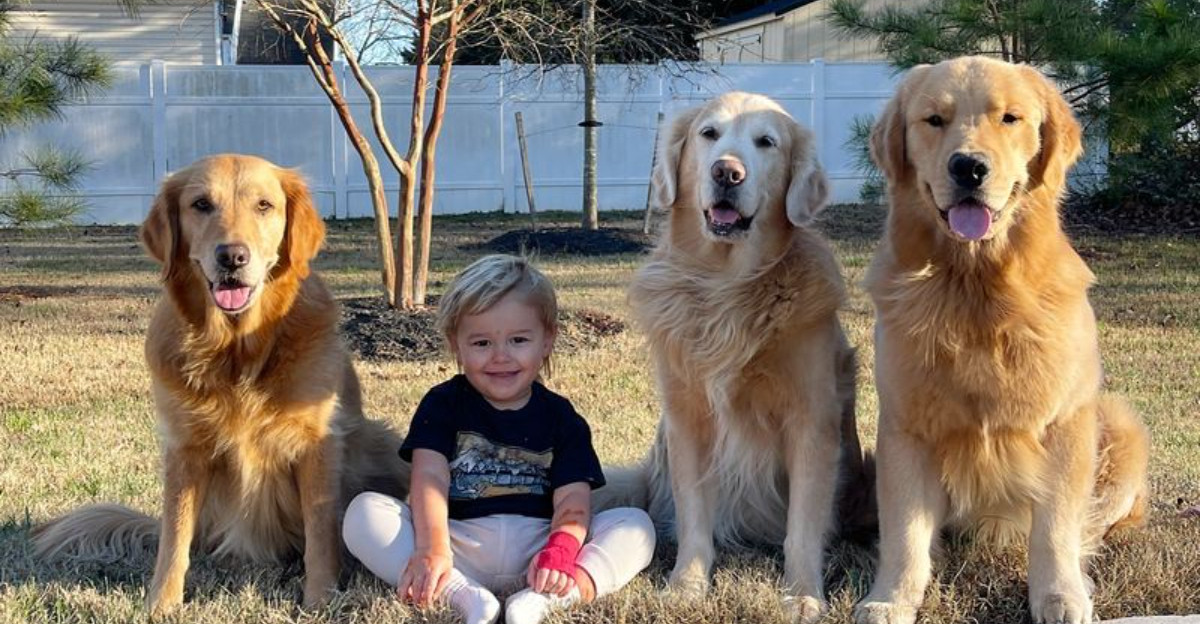 The Top 14 Smartest Dogs That Every Family Should Consider Exploring