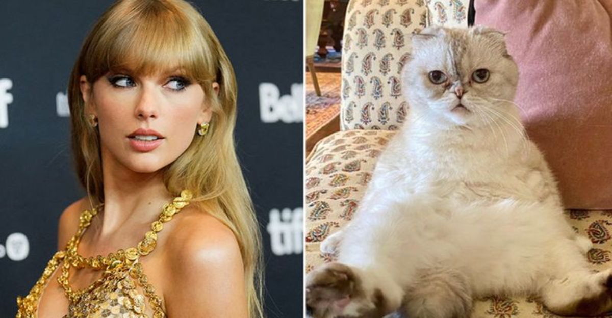 Can Pets Inherit Money? Meet the World’s Richest Animals - Exploring ...