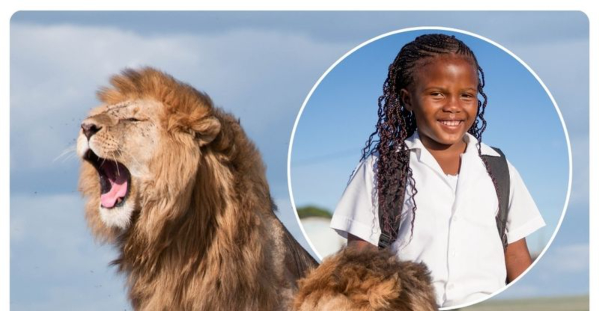 10 Animals That Saved Human Lives in the Most Mysterious Ways ...