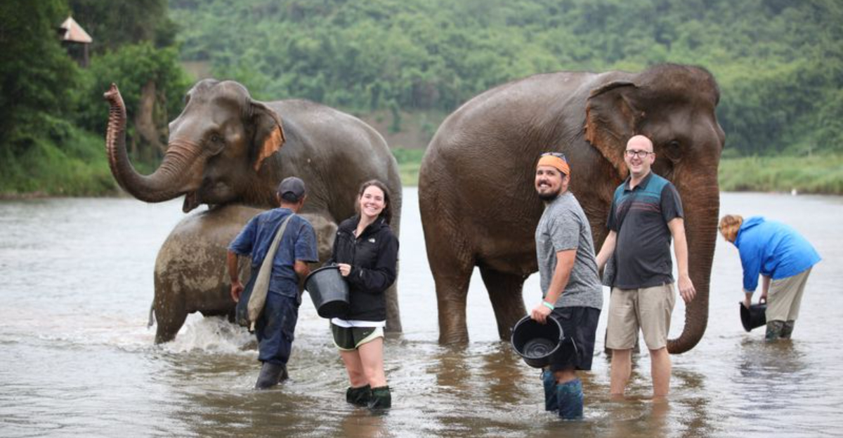 10 Top Elephant Sanctuaries Around the World Where You Can See and ...