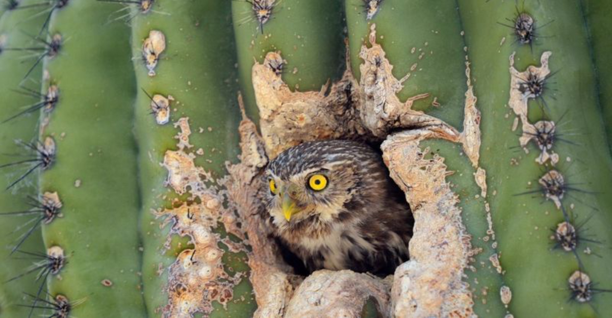 13 Desert Creatures Thriving in Nevada, Arizona, and Utah - Exploring ...